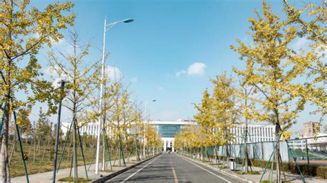 成理的秋天 成都理工大学影像网