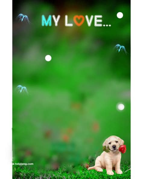 My Love Photoshop Cb Editing Background Total PNG Free Stock Photos My Love Photoshop Cb Editing Background Total PNG Free Stock Photos