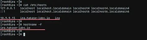 How To Install FreeIPA Server On CentOS 7 LaptrinhX