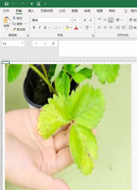 【25万字】详解 Python Docx 自动生成word图文报告图文报告自动生成 Csdn博客