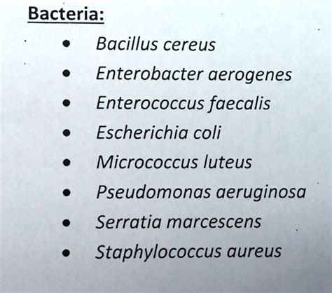 Solved Bacteria Bacillus Cereus Enterobacter Aerogenes Enterococcus Faecalis Escherichia Coli