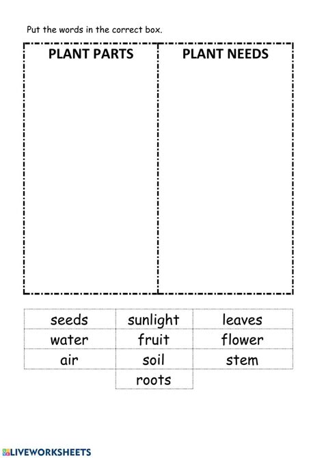 Plants Online Exercise For 1 Tramo In 2025 Plant Lessons Plants Worksheets Parts Of A Plant