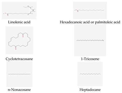 The Genus Tripleurospermum Sch Bip Encyclopedia Mdpi