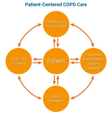 Copd Patient 30 Day Hospital Readmission Reduction Program Nonin