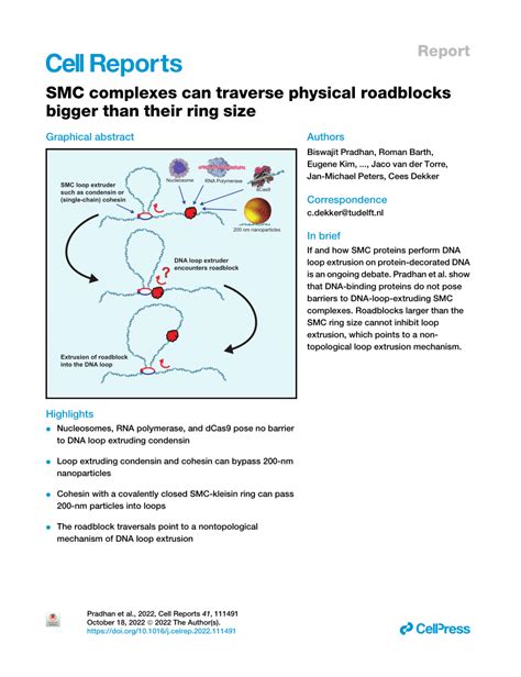 Pdf Smc Complexes Can Traverse Physical Roadblocks Bigger Than Their