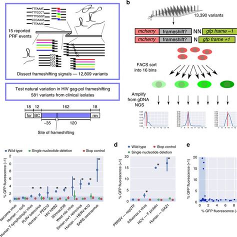 A Massively Parallel Reporter Assay For Programmed Ribosomal Download Scientific Diagram