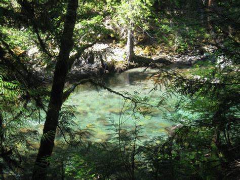 Ohanapecosh Hot Springs Trail In Mount Rainier National Park Stock
