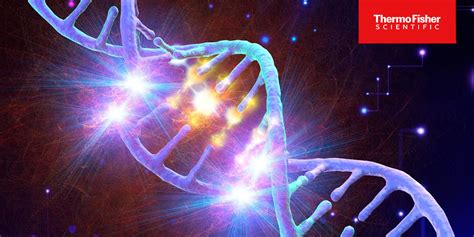 Development Of A Novel Targeted Ngs Panel For Analysis Of Dna Methylation Biomarkers In Lung