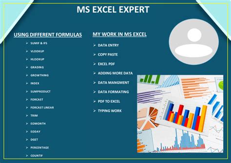 Provide Tons Of Excel Templates And Tools In One Gig By Rajaadnan891