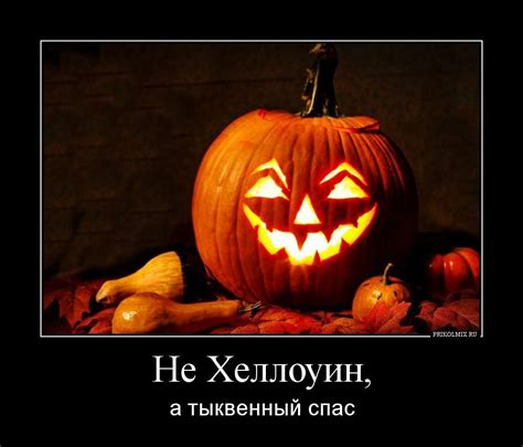 Не Хеллоуин а тыквенный спас Демотиватор на тему тыква хеллоуин Демотив… Adult Halloween