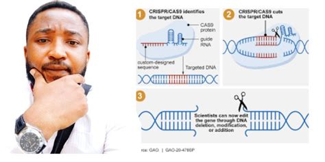 David Nwobodo Phd On Linkedin Crispr Crisprcas9 Molecularbiology Genetics Geneticengineering