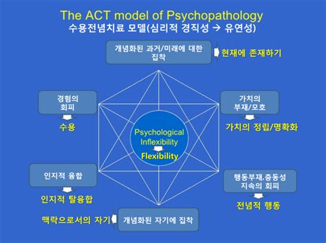 Act Modelfor 심리적유연성 네이버 블로그