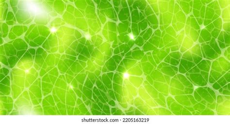 907 Membrane Texture Stock Vectors Images And Vector Art Shutterstock