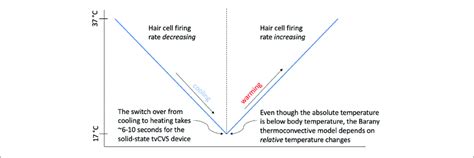 Depiction Of The Transition Between Hair Cell Firing Rate States As A