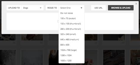Upload Resize Options WE RE HERE TO HELP