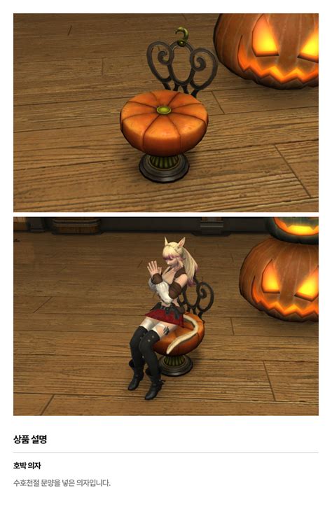 파이널판타지14 Final Fantasy Xiv