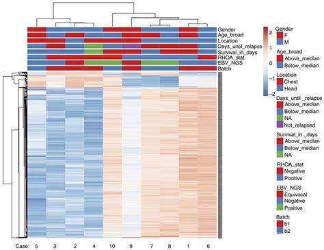 Heatmap With Hierarchical Clustering By Euclidean Distance Of The Gene