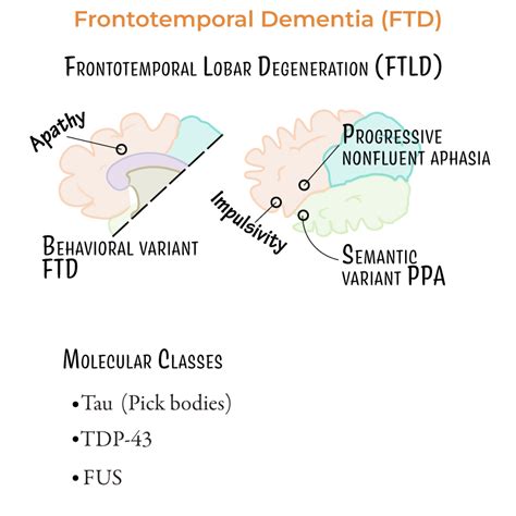 Clinical Pathology Glossary Frontotemporal Dementia Ditki Medical