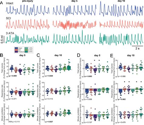 Impact Of Sci And O2 Treatment On Tidal Volume Rate And Minute Download Scientific Diagram