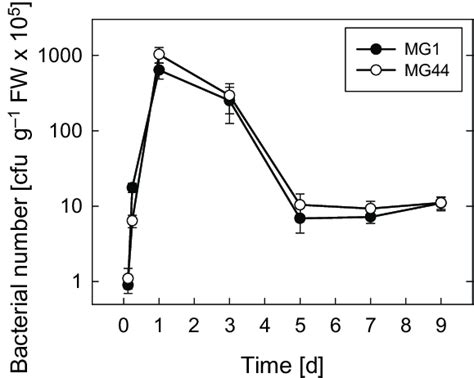 Growth Of The Serratia Liquefaciens Wild Type Mg1 And The Download