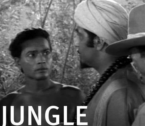 Jungle Hell Summary Trailer Cast Where To Watch And More