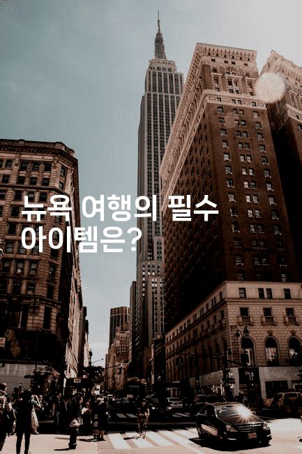 뉴욕 여행의 필수 아이템은 미국드리