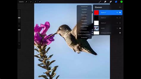 Basic Knowledge Of Procreate Blending Modes For Color Manipulations