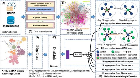 Figure 1 From A Multi Relational Graph Encoder Network For Fine Grained