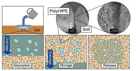 Hydrogels Soil Porous Polymers Reza Foudazi