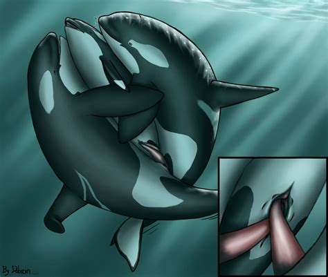 Rule 34 Anatomically Correct Cetacean Close Up Dolorcin Double