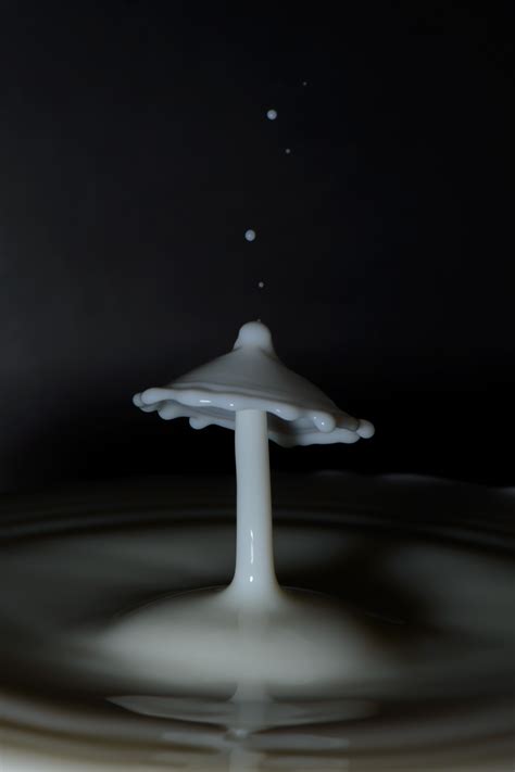 무료 이미지 하락 빛 추상 화이트 유리 반사 어둠 램프 검은 조명 초점 배경 물방울 충돌 모양 실험 매크로 사진 고속 우유 방울 재미