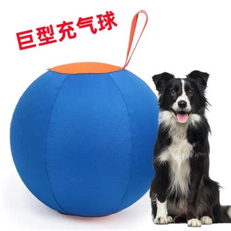 充氣薩摩阿拉斯加柴犬柯基玩具球橡膠球球形玩具etmall東森購物網