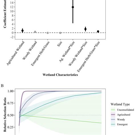 A Mean ß Coefficient Estimates And 95 Confidence Intervals From The