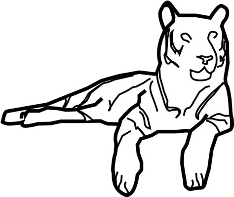 Tiger Line Drawing Free Download On Clipartmag