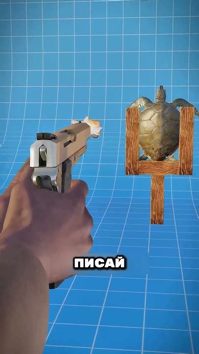 Миф о неуязвимой черепахе Правда шокирует Youtube