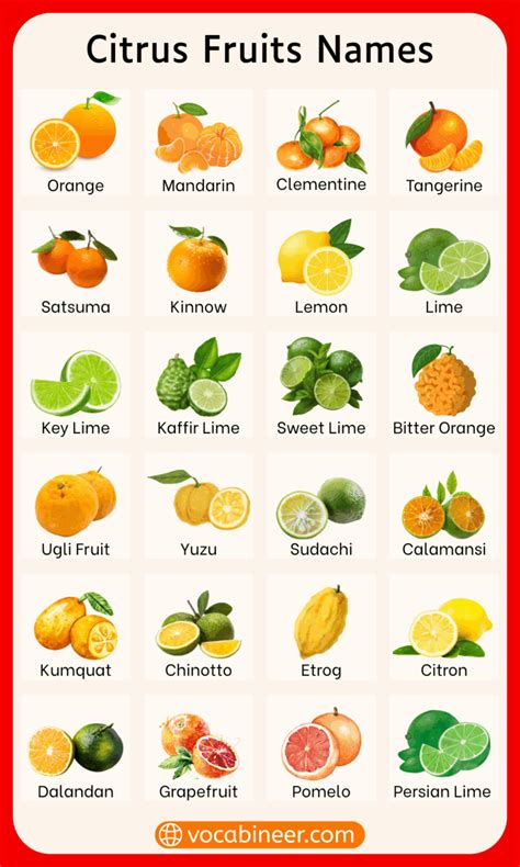 30 Citrus Fruits Names In English With Pictures
