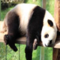 宏定义使用请教宏定义可以改值么 CSDN社区