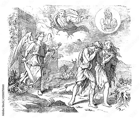 Garden Of Eden Cherubim Fasci Garden