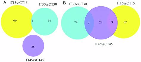 Venn Diagram Of Differentially Expressed Gene Sets Across Three