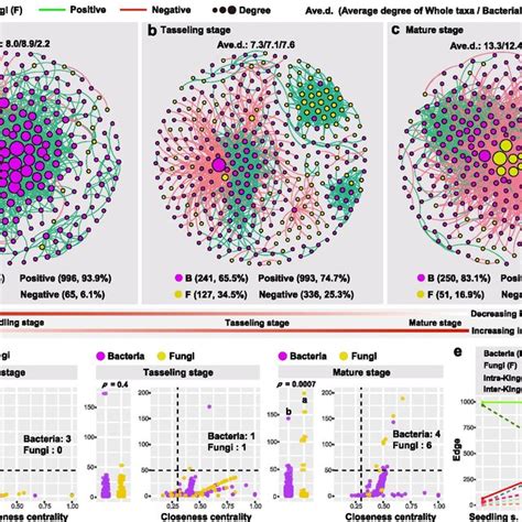 Temporal Dynamics Of Bacterial Fungal Interkingdom Networks