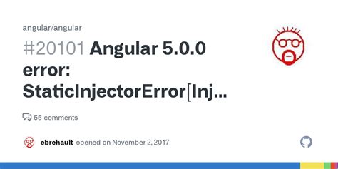 Angular Error StaticInjectorError InjectionToken DocumentToken Issue Angular