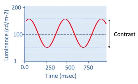 Temporal Contrast Sensitivity Metropsis