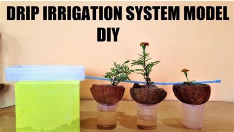 Drip Irrigation Working Model Archives DIY School Project Working And Non Working Models For