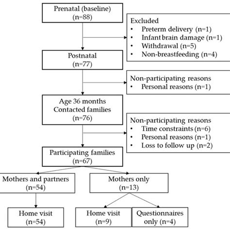 General Path Diagram Of The Sem Models Download Scientific Diagram