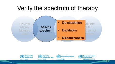 Principles Of Antimicrobial Prescribing Appropriate Empiric Antibiotic Use Pdf Infectious