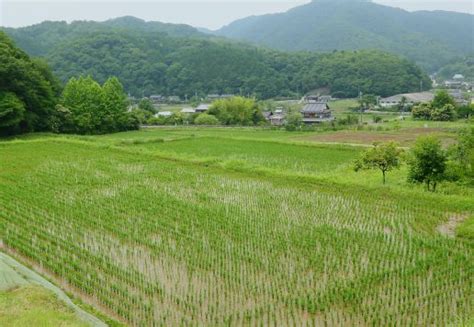 取引先紹介 上月アグリファーマ株式会社