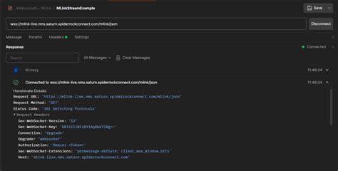 Connecting With Postman Spiderrock Documentation