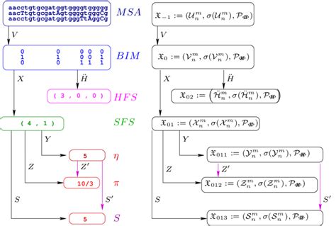 an n coalescent experiments graph an observed multiple sequence download scientific diagram