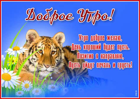 Открытка доброе утро с тигром - Скачать бесплатно на otkritkiok.ru