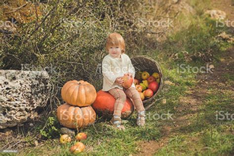 화이트 아이 보 리 색 스웨터를 입고 금발 빨간 머리와 가까운 초상화 아가 즐길 인생 바구니 Ped 침대 신선한 노란색 빨간색 사과 봄이 호박 행복 한 미소 가득한 시간